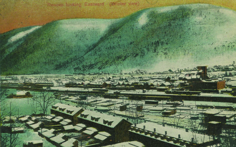 ‘Swamp Poodle’ | News, Sports, Jobs - The Express